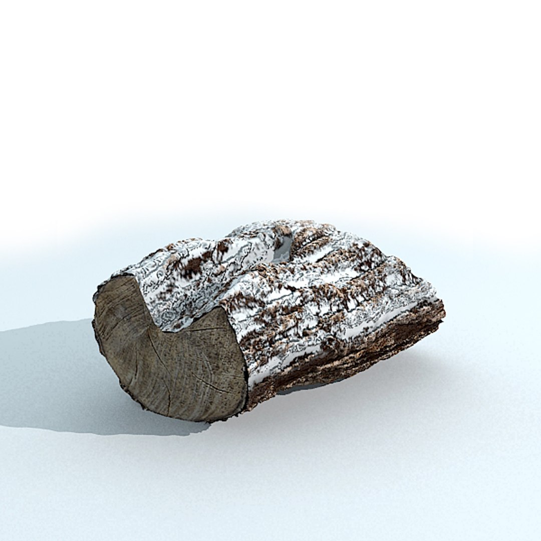 Log Snowy Snow