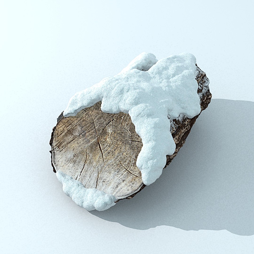 Log Snowy Snow