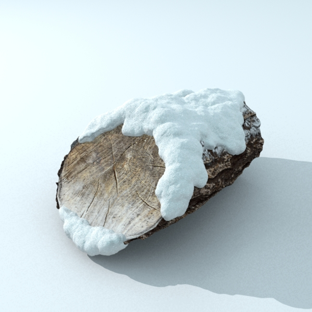 Log Snowy Snow
