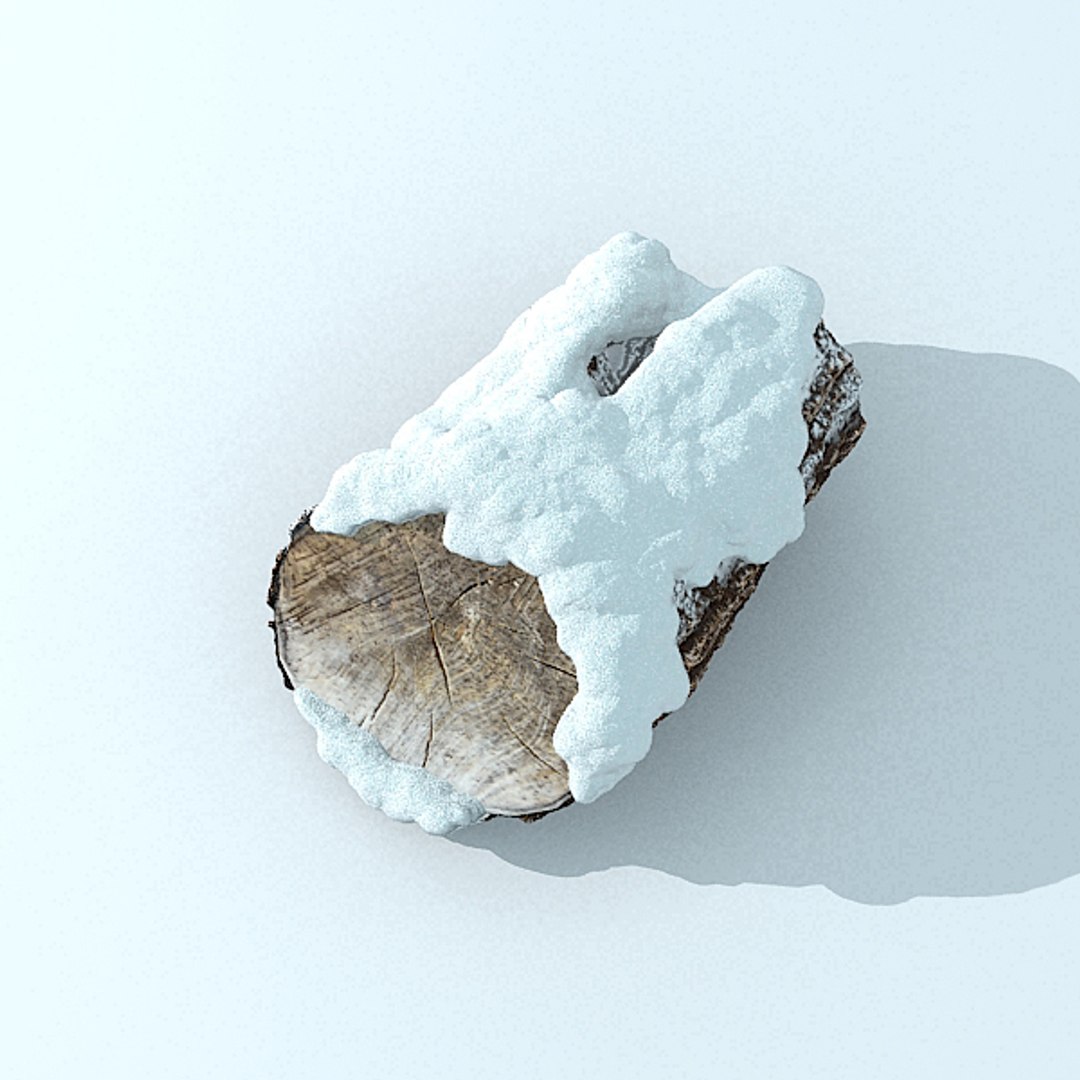Log Snowy Snow
