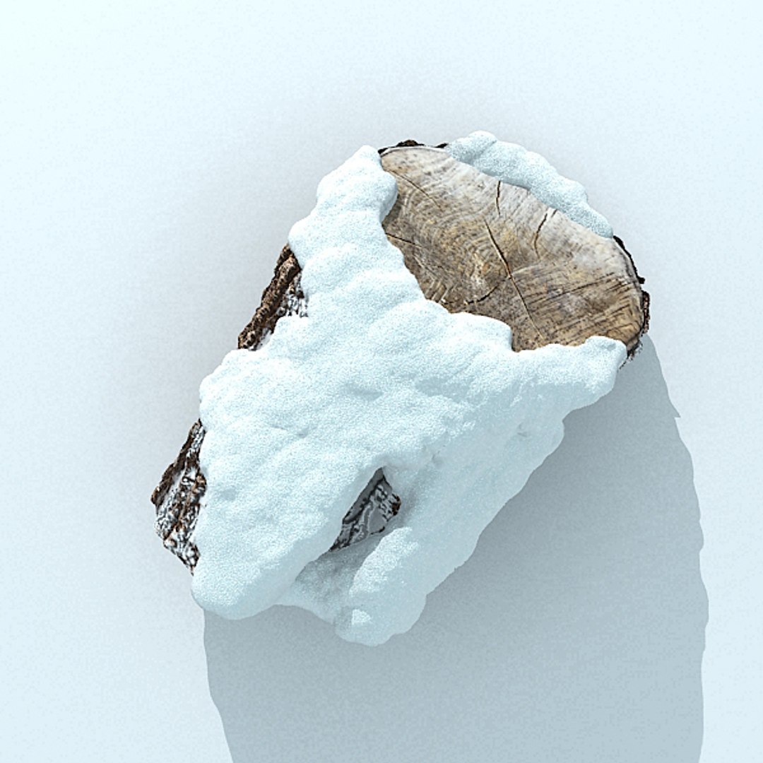 Log Snowy Snow