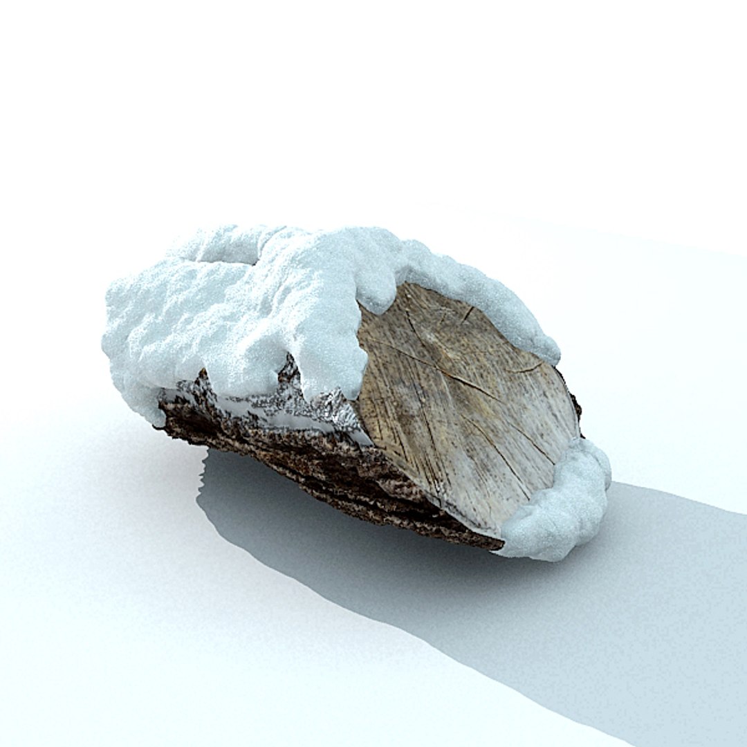 Log Snowy Snow
