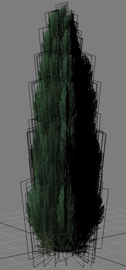 3d Juniper Tree Plant