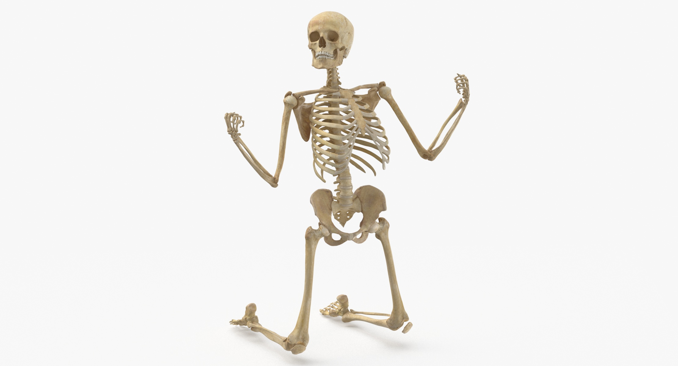 3D model Human Female Skeleton Pose 79 - TurboSquid 1726448