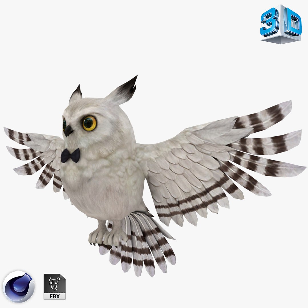 3D model Barn Owl Low Poly Low-poly 3D model - TurboSquid 2159885