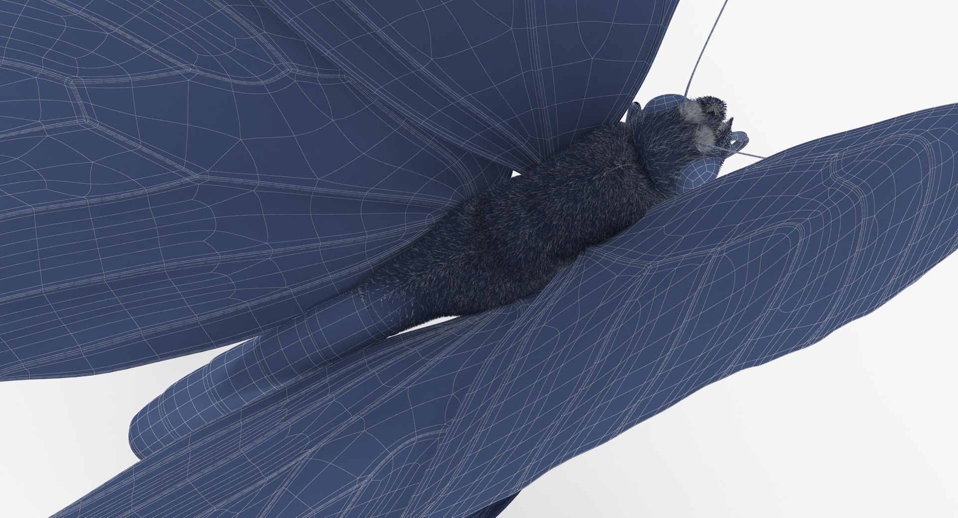 3d Monarch Butterfly Flying