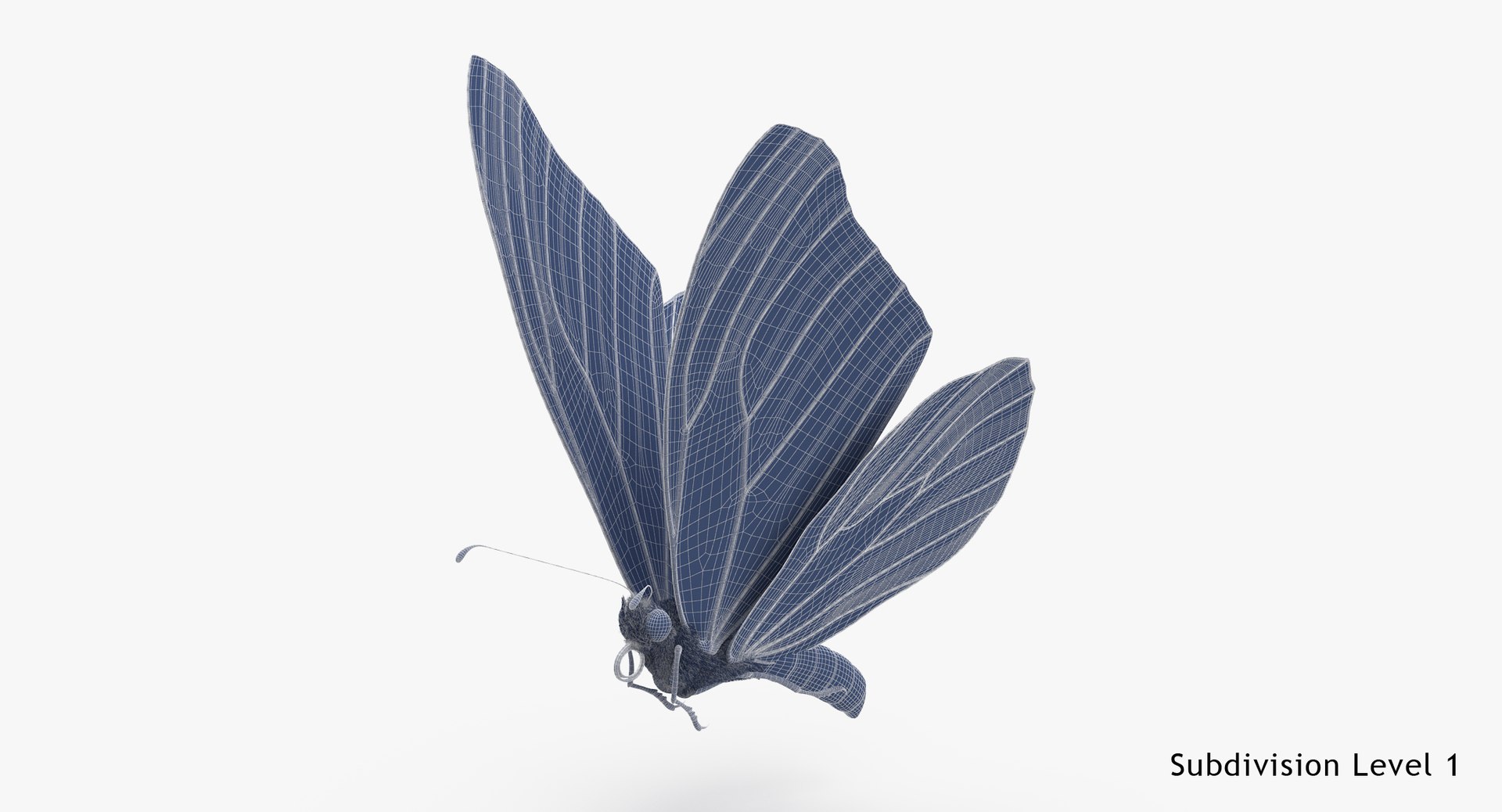 3d Monarch Butterfly Flying