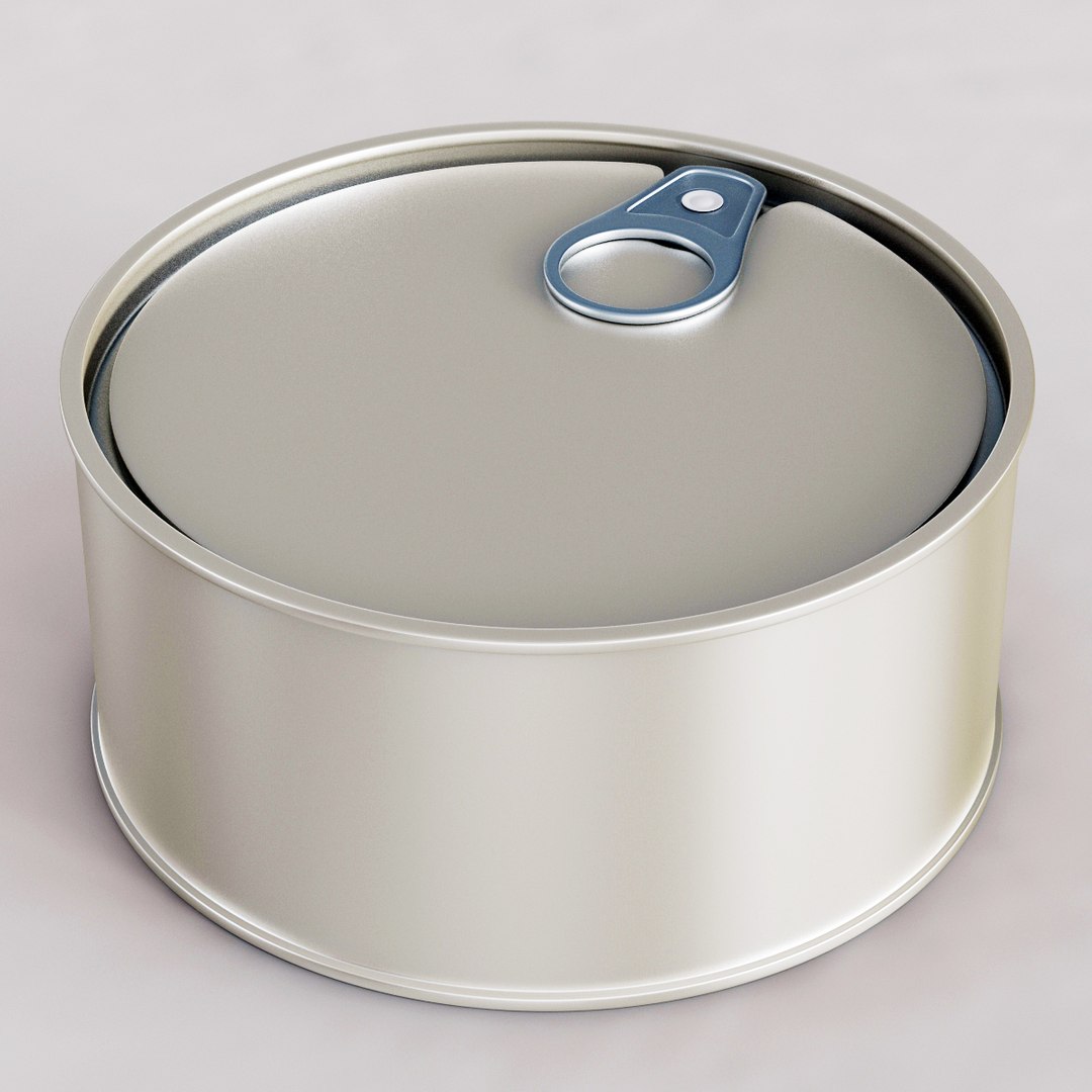 Bank Tin 3d Max