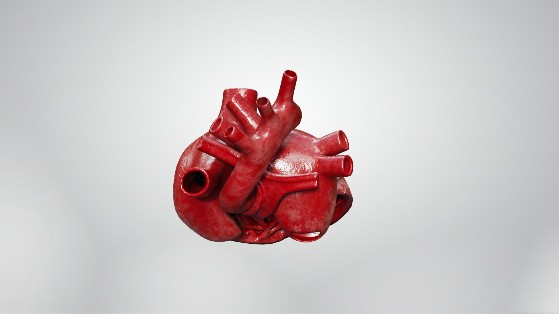 Inner Heart 3D Model - TurboSquid 2117576