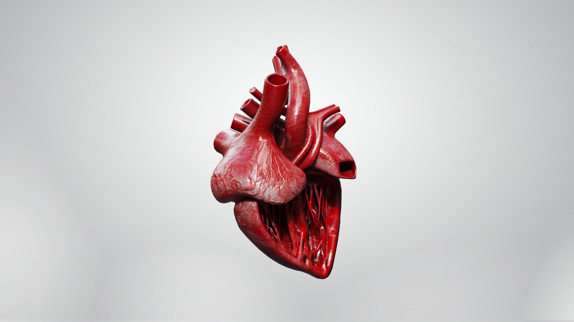 Inner Heart 3D model - TurboSquid 2117576
