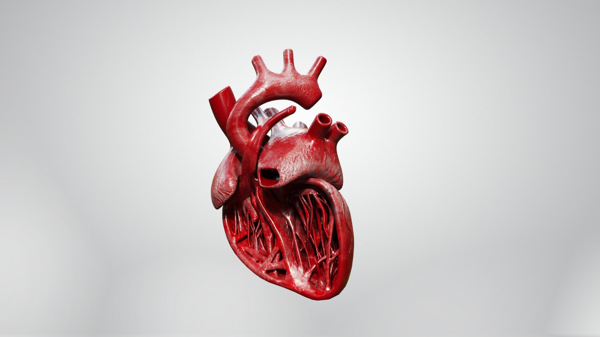 Inner Heart 3D Model - TurboSquid 2117576