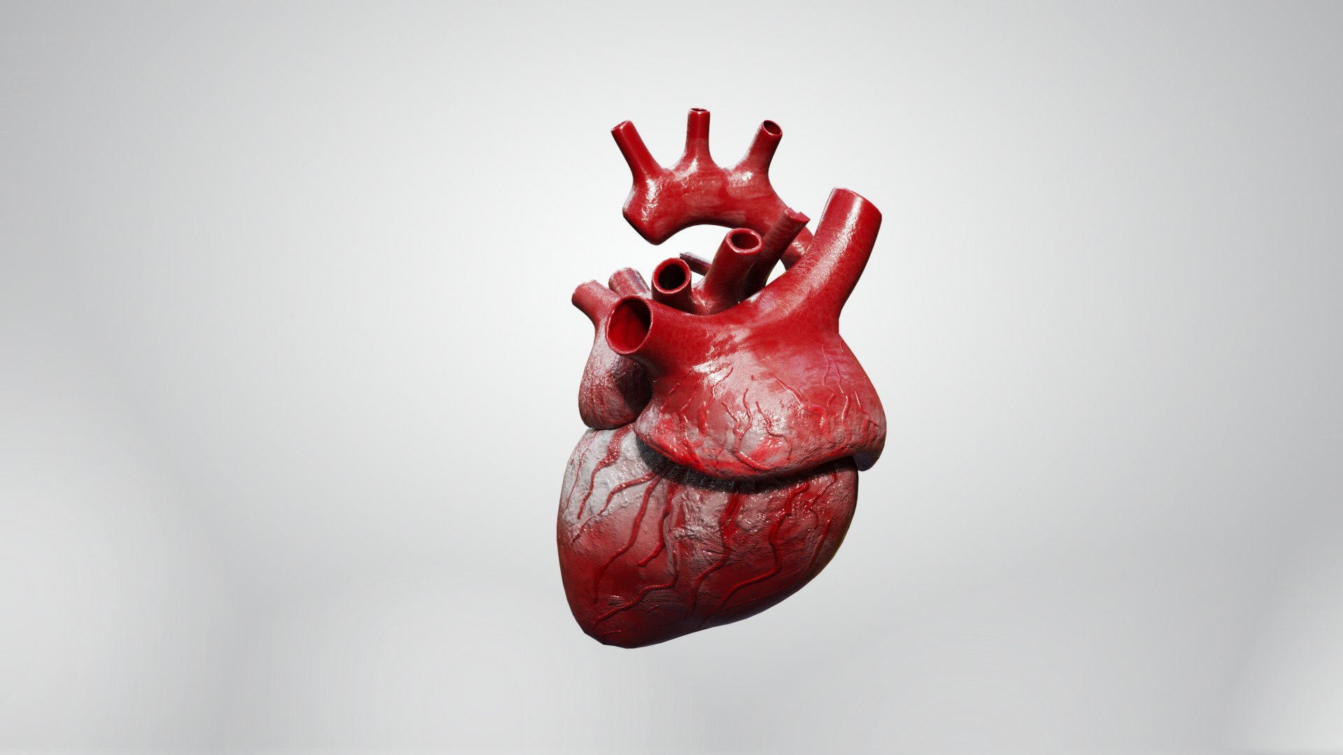 Inner Heart 3D model - TurboSquid 2117576