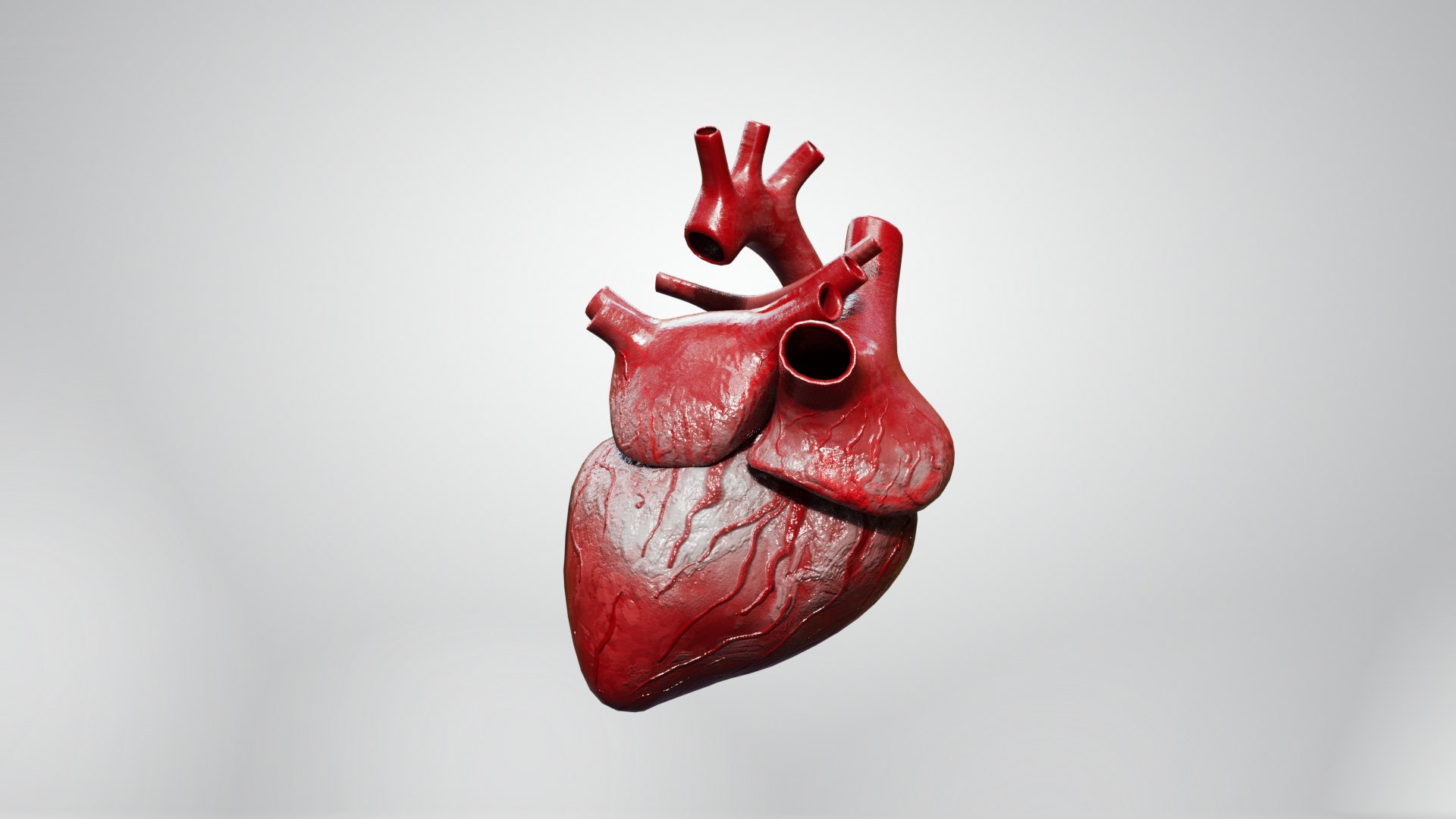 Inner Heart 3D model - TurboSquid 2117576
