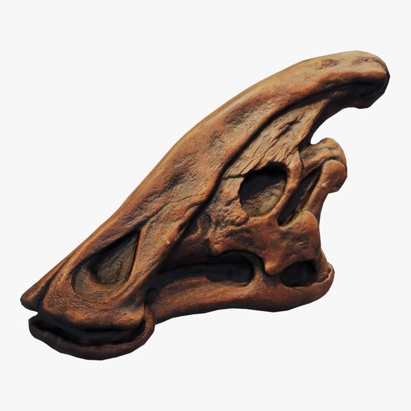 Cráneo De Dinosaurio 3D Modelos para Descargar | TurboSquid