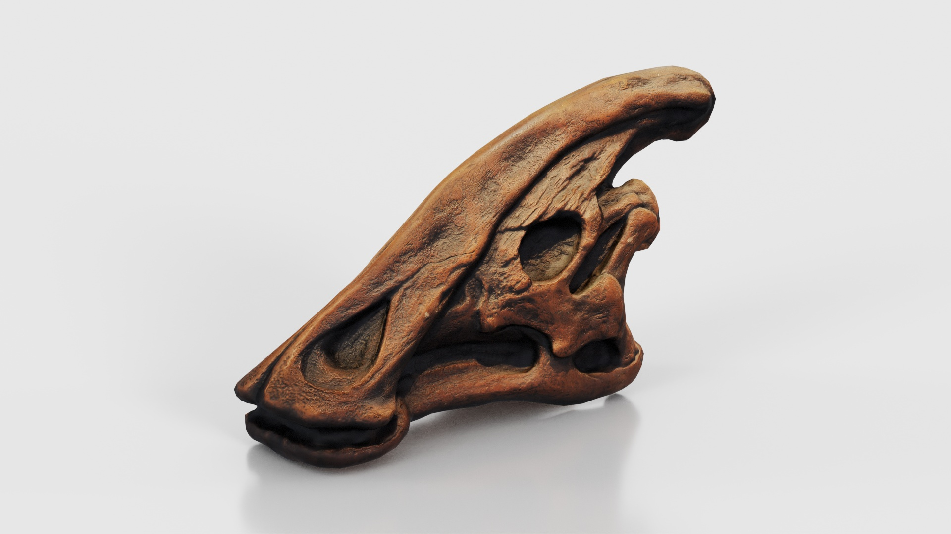 Dino Skull Remastered 3D Model - TurboSquid 2359821