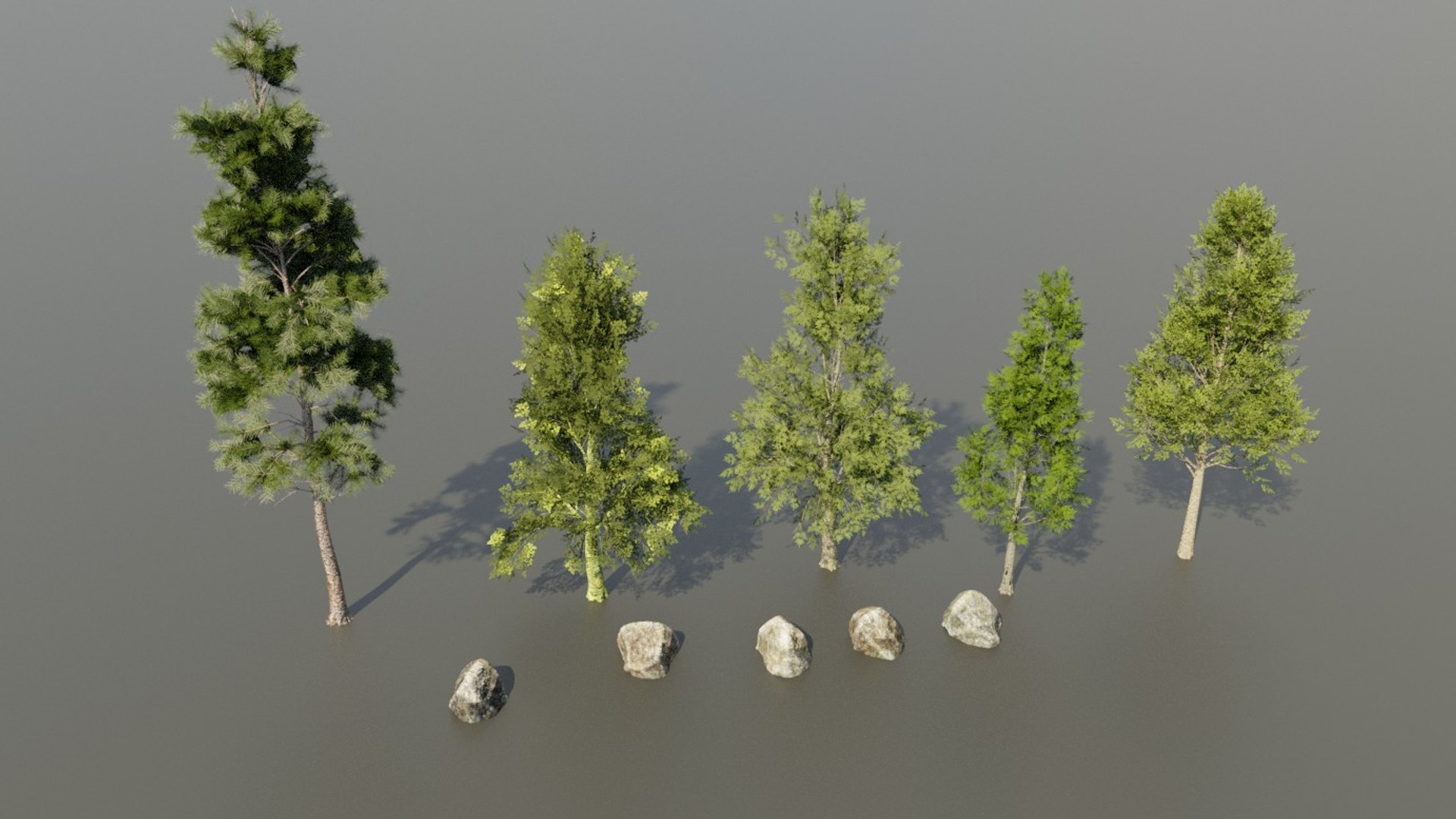 3D Model Path Forest Blender - TurboSquid 1549542