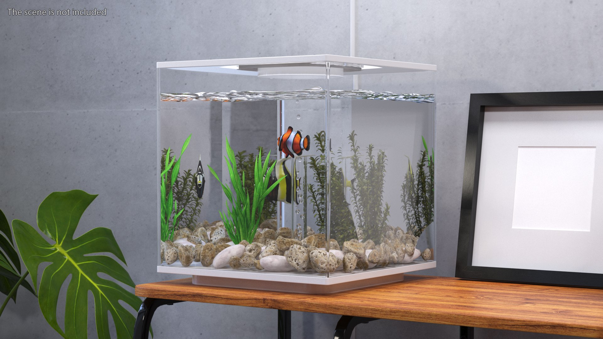Fish Tanks Collection 3D Model - TurboSquid 2144624