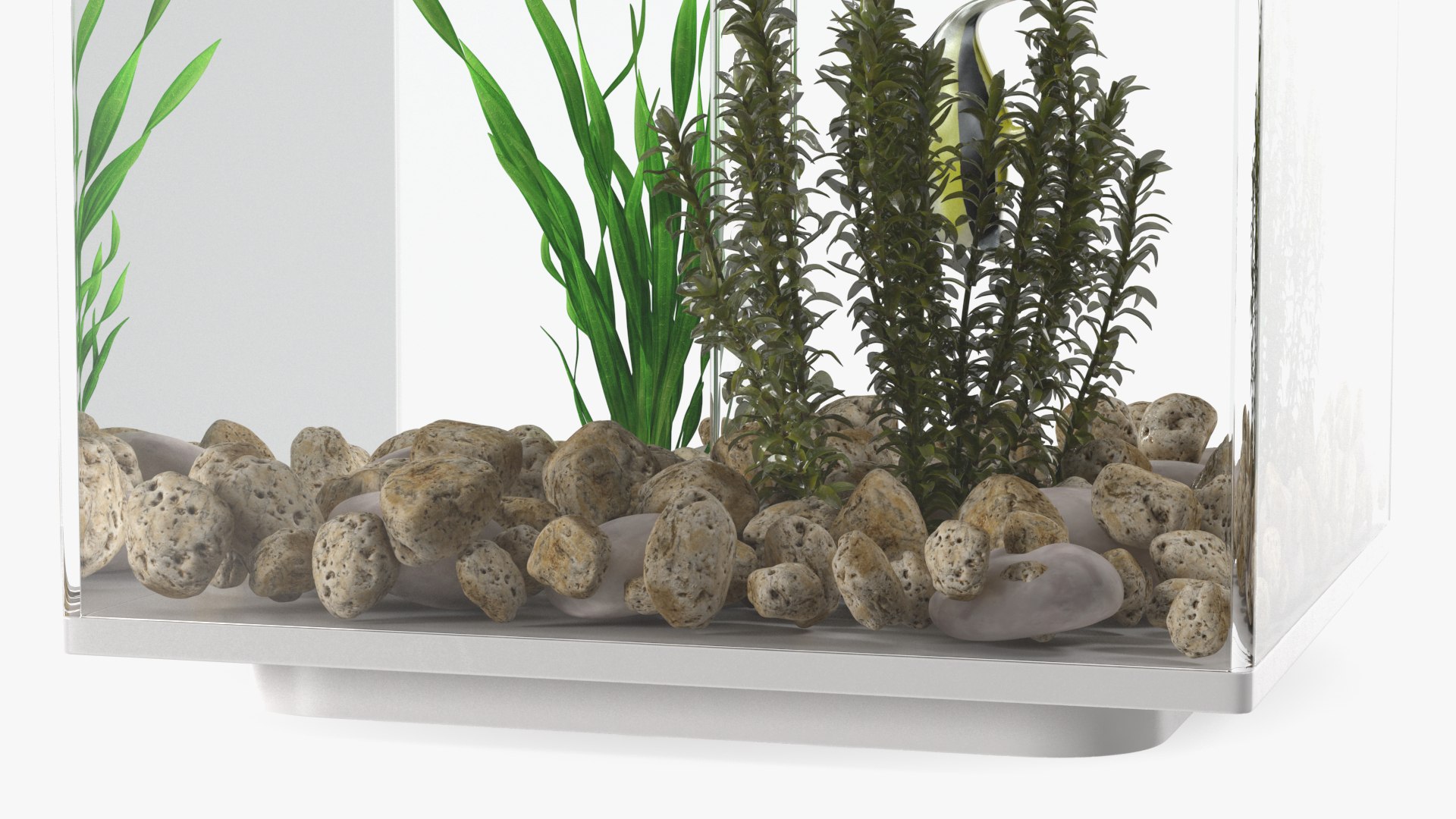 Fish Tanks Collection 3D Model - TurboSquid 2144624