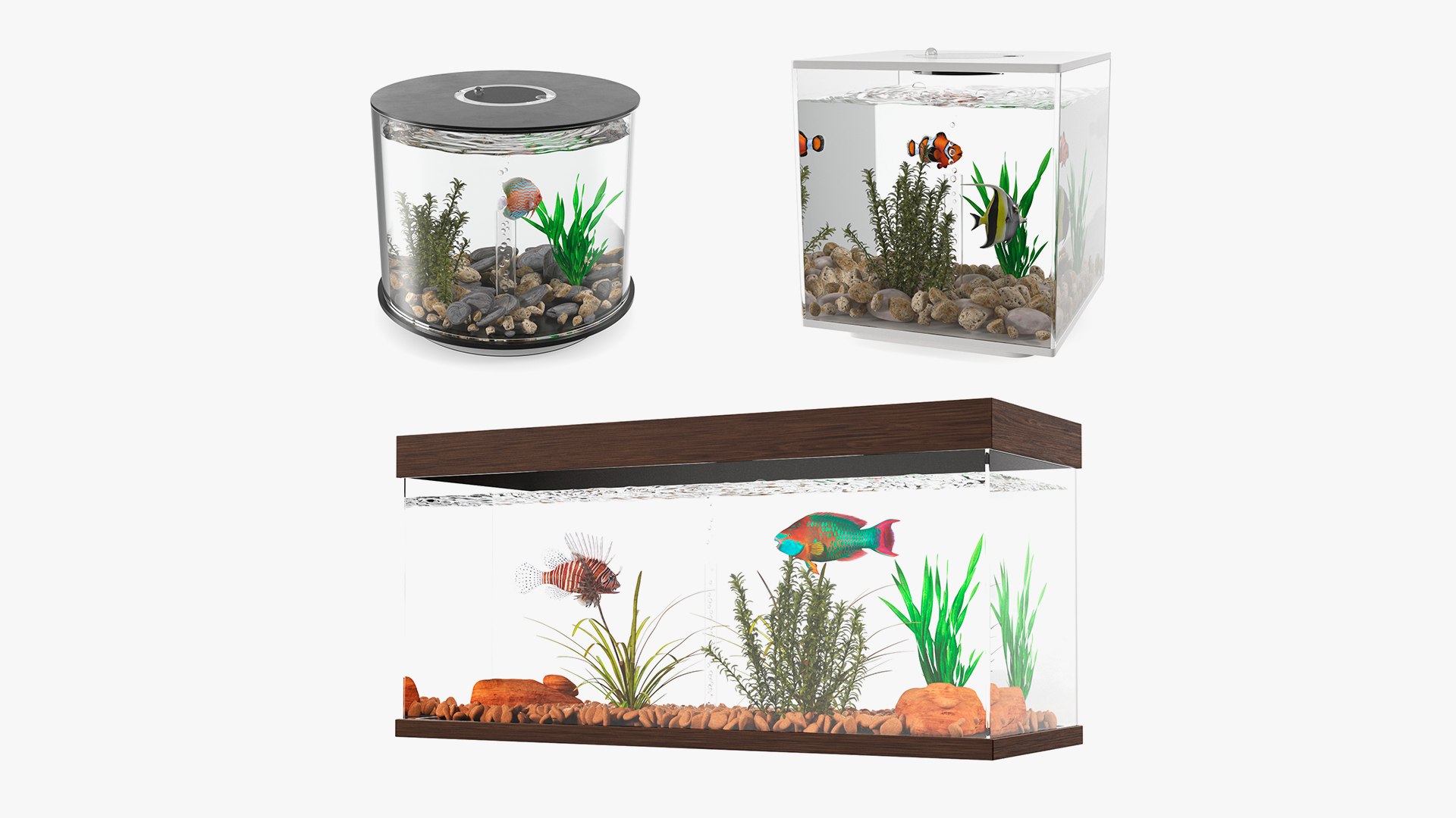 Fish Tanks Collection 3D Model - TurboSquid 2144624