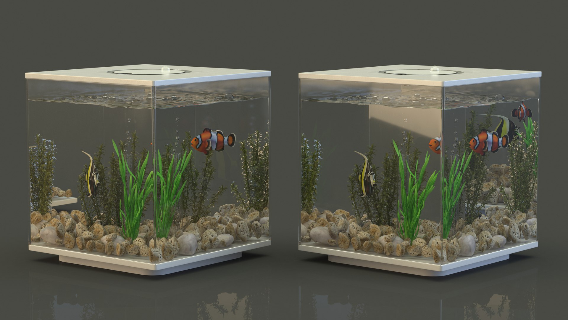 Fish Tanks Collection 3D Model - TurboSquid 2144624