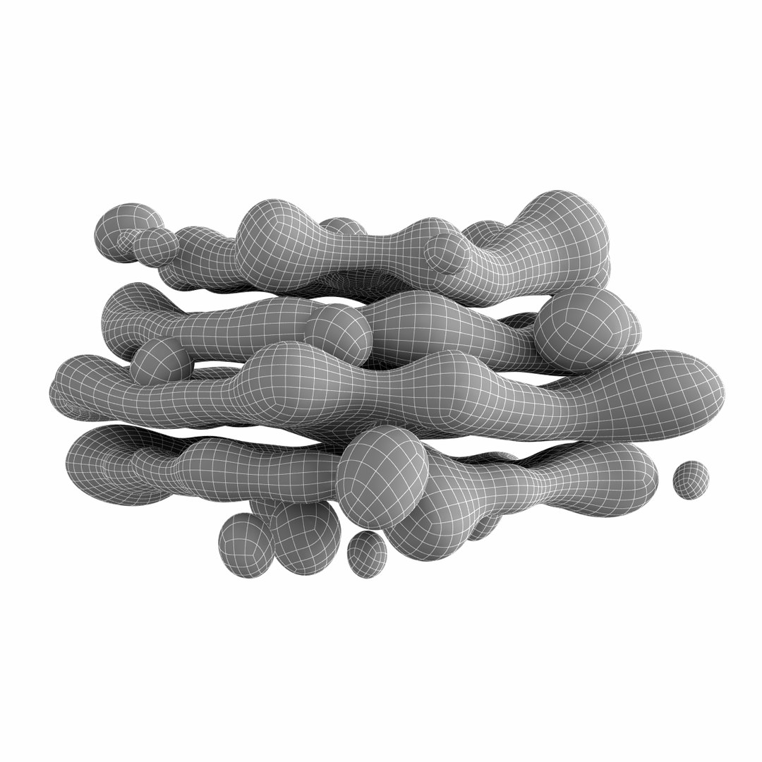 Biology Microbe 3d Model