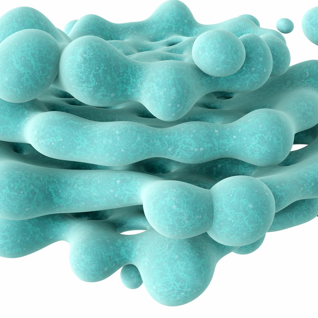 Biology Microbe 3d Model