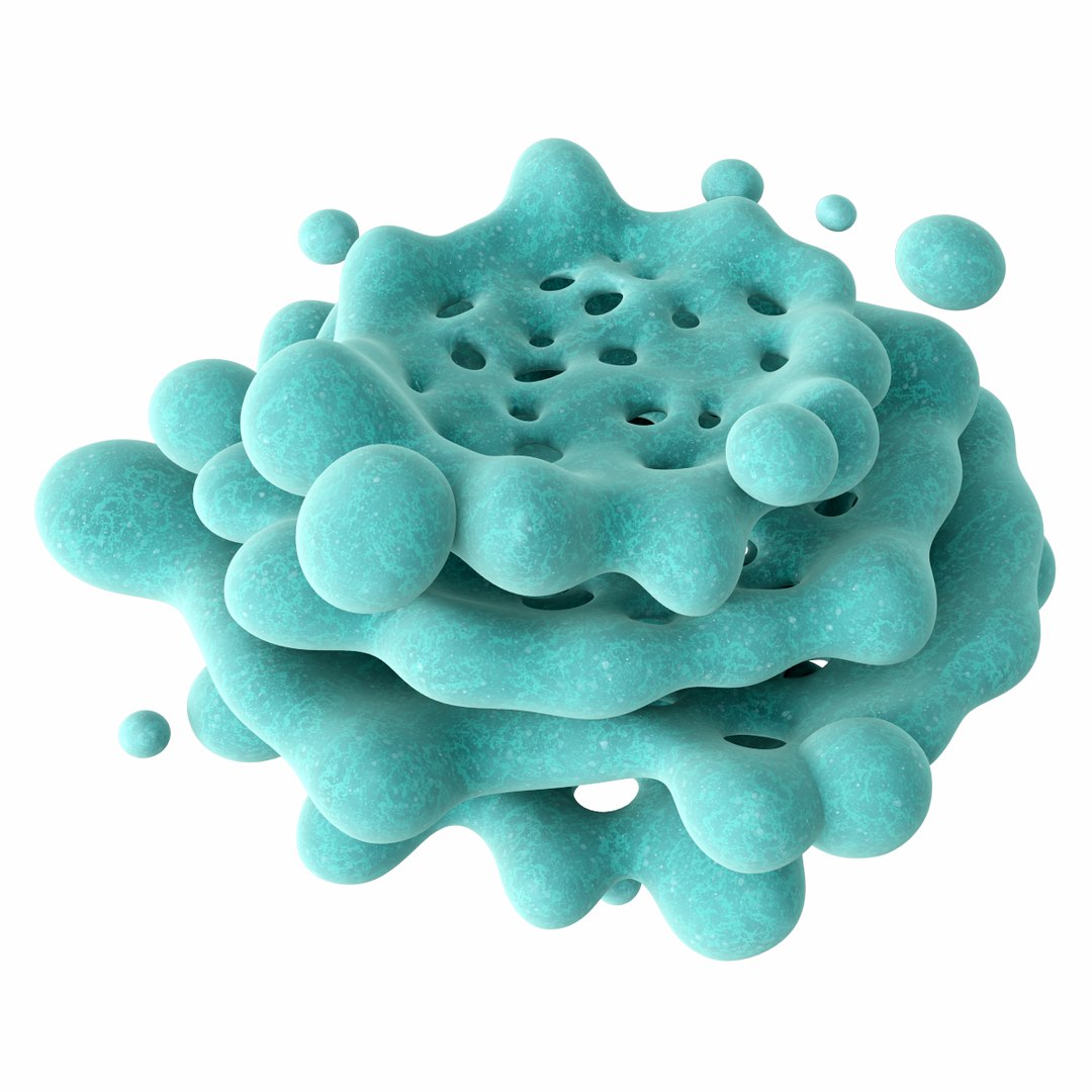 Biology Microbe 3d Model