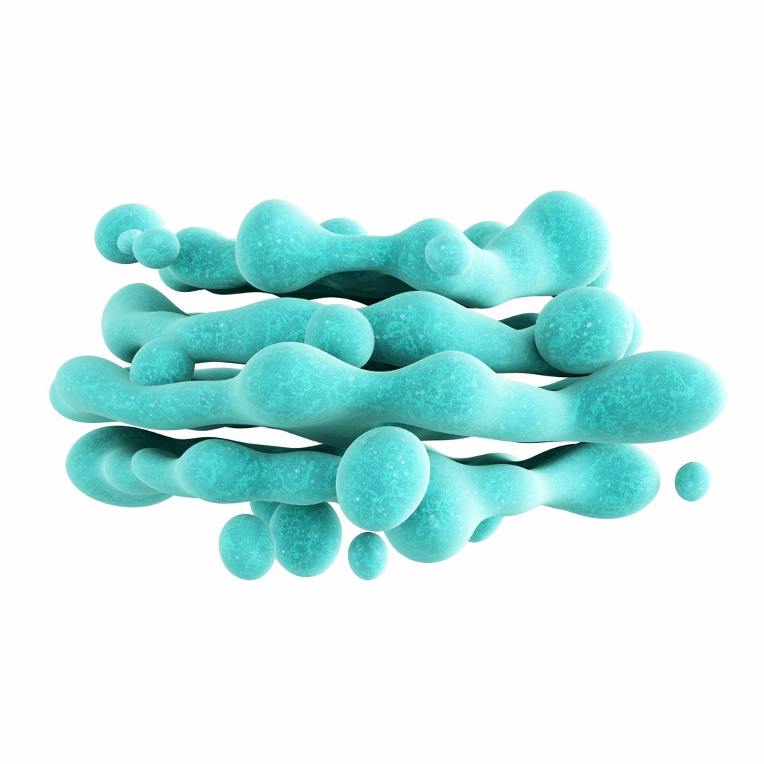 Biology Microbe 3d Model