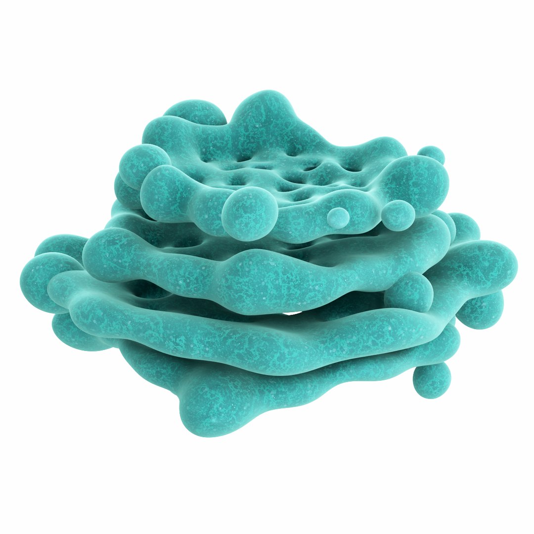 Biology Microbe 3d Model