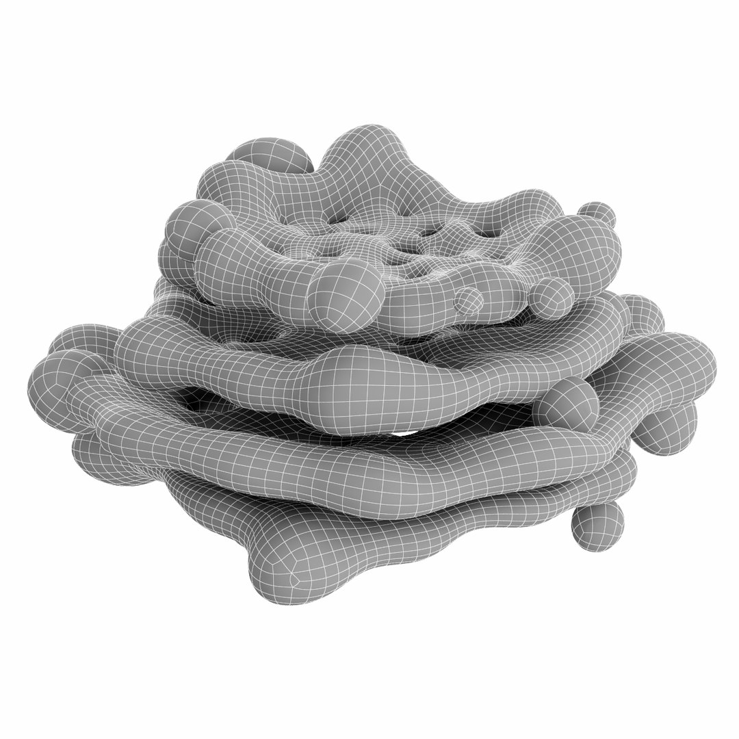 Biology Microbe 3d Model