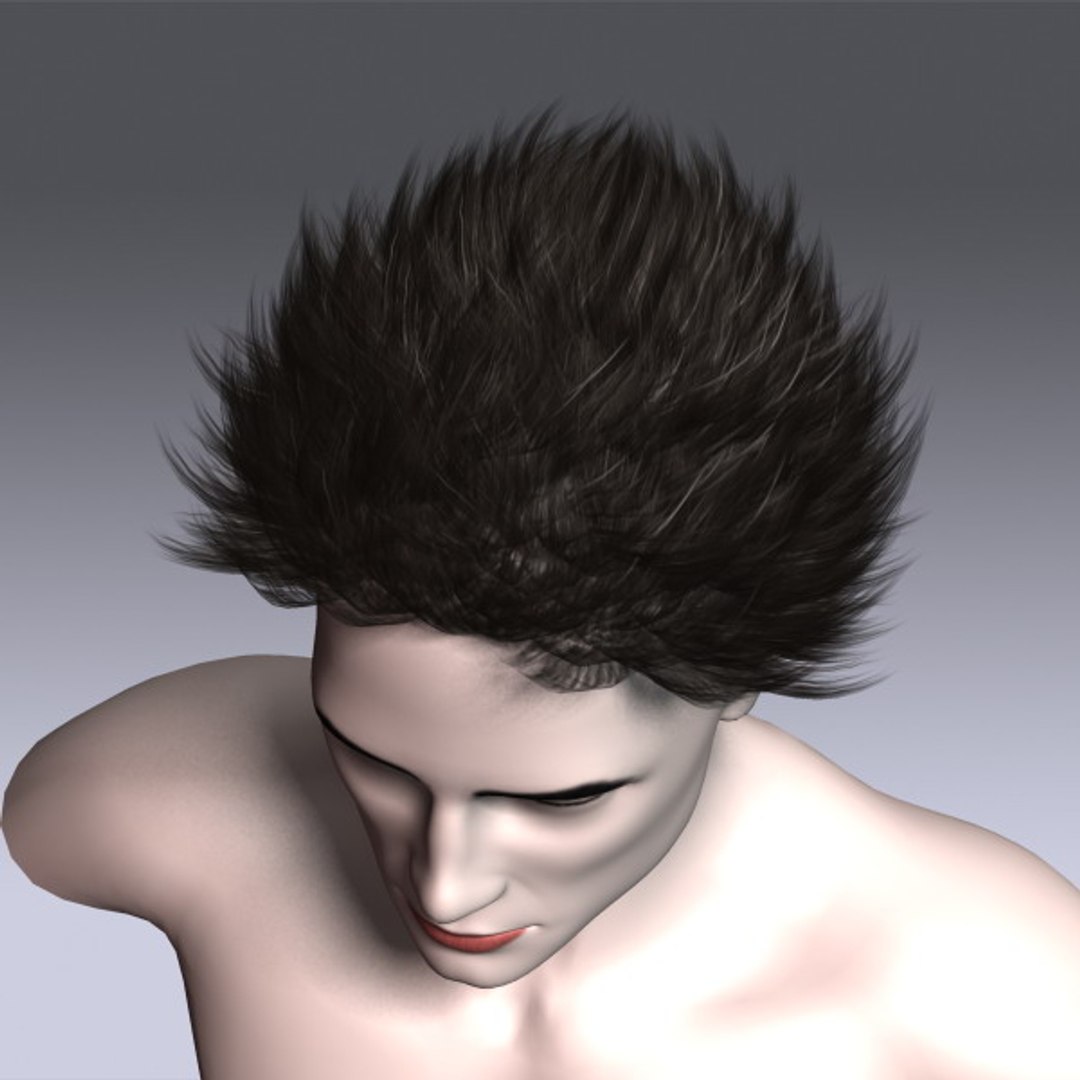 Donald Hair Max
