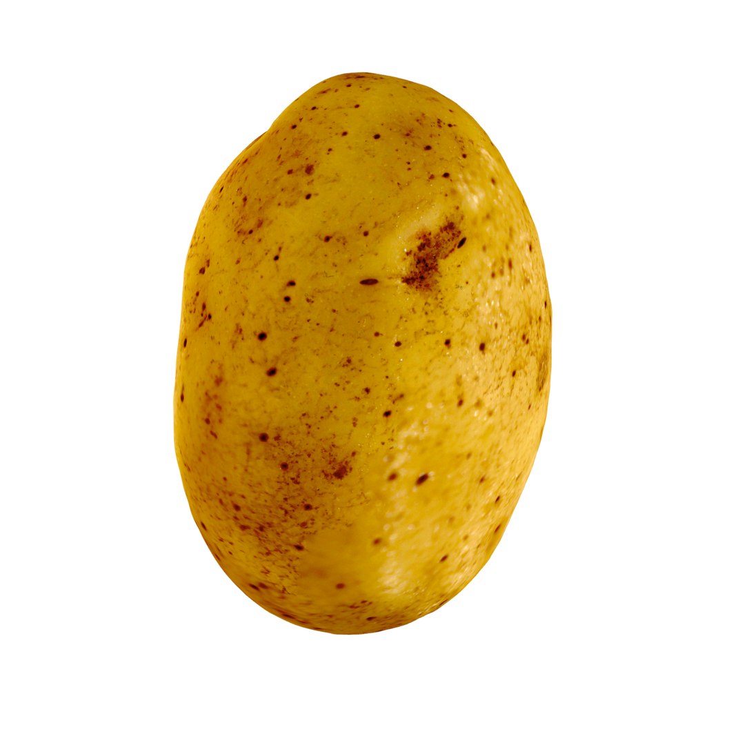 Potato - 8K UHD 3D - TurboSquid 2184385