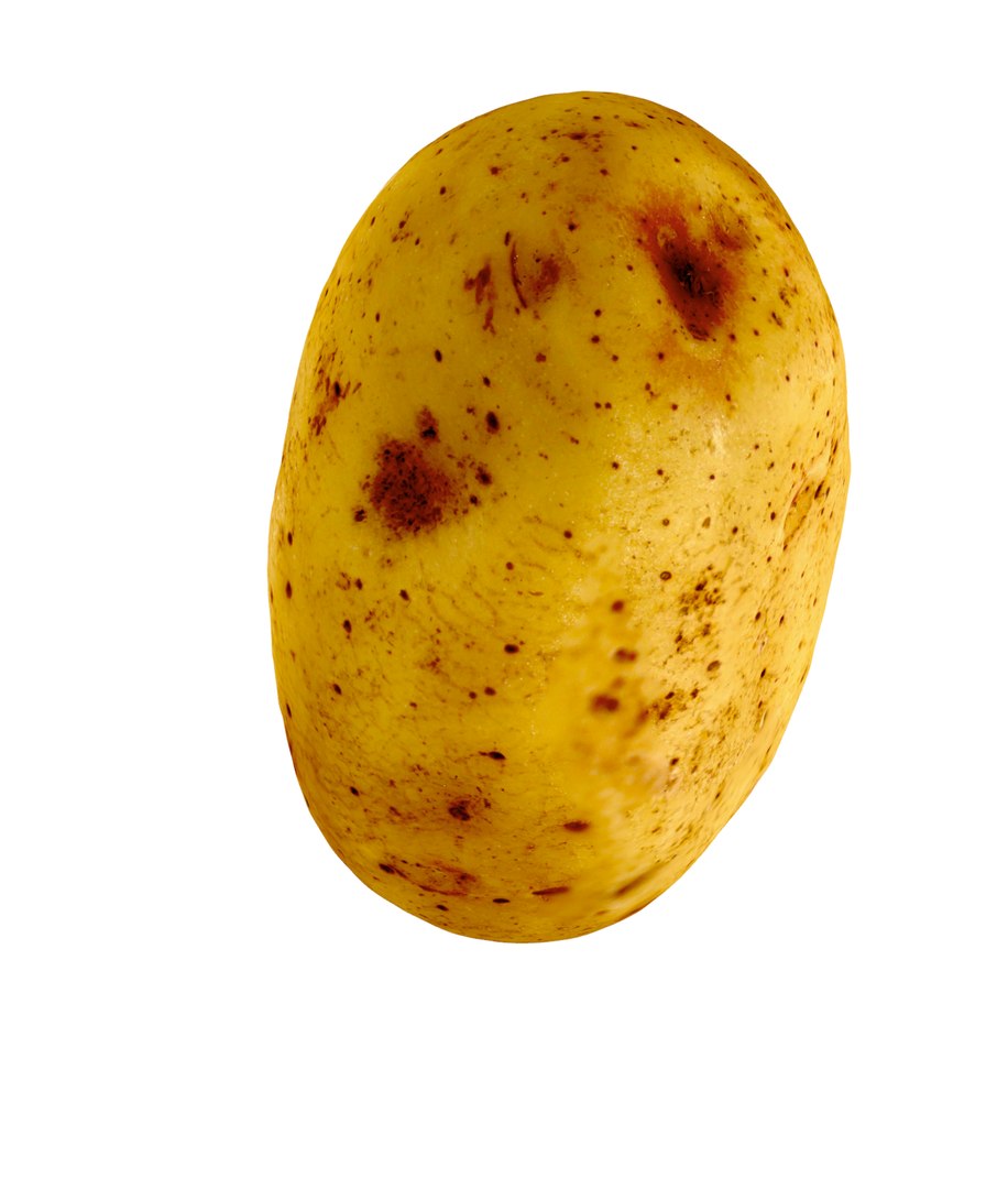 Potato - 8K UHD 3D - TurboSquid 2184385