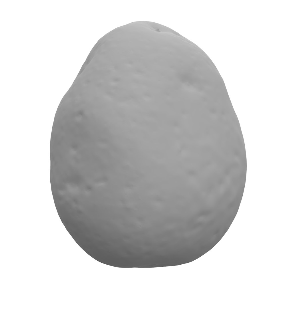 Potato - 8K UHD 3D - TurboSquid 2184385