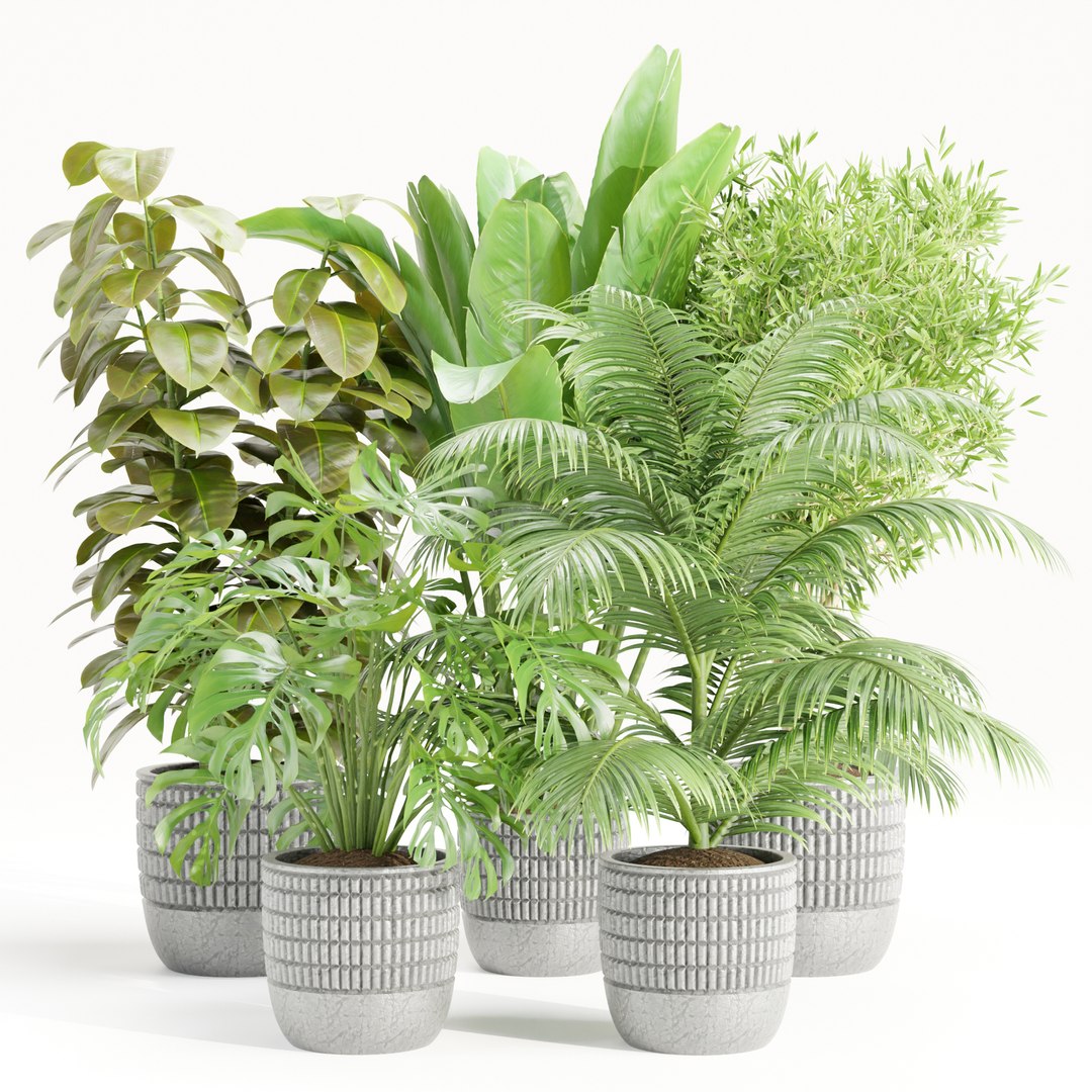 3D Model Indoor Plants Collection Vol 157-Blender-3dmodel - TurboSquid ...