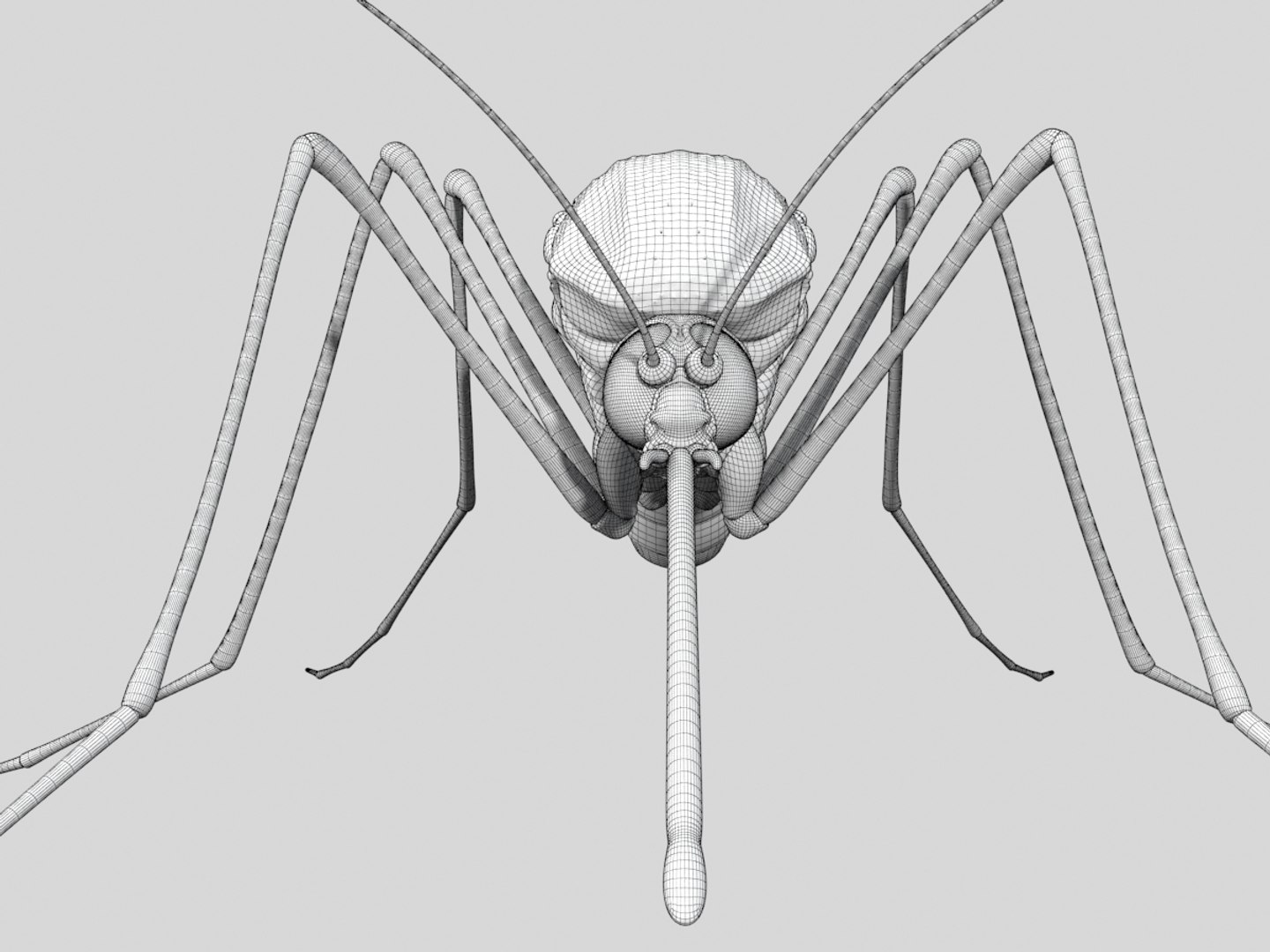 Mosquito Rigged Animate 3d Model