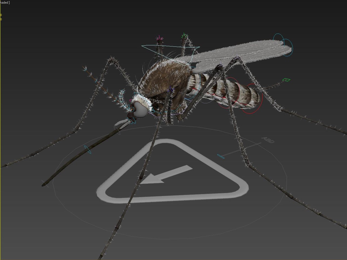 Mosquito Rigged Animate 3d Model