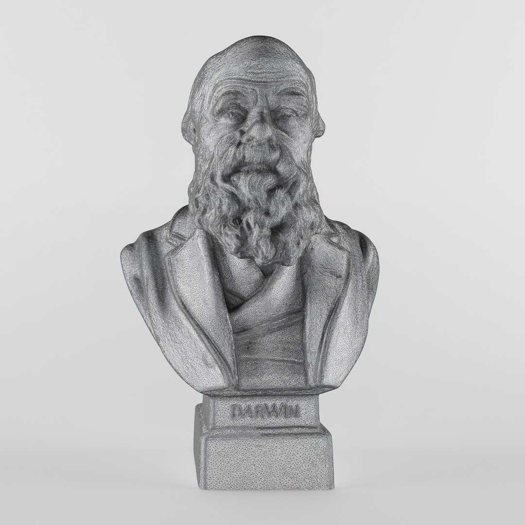 Charles Darwin 3D - TurboSquid 1896988