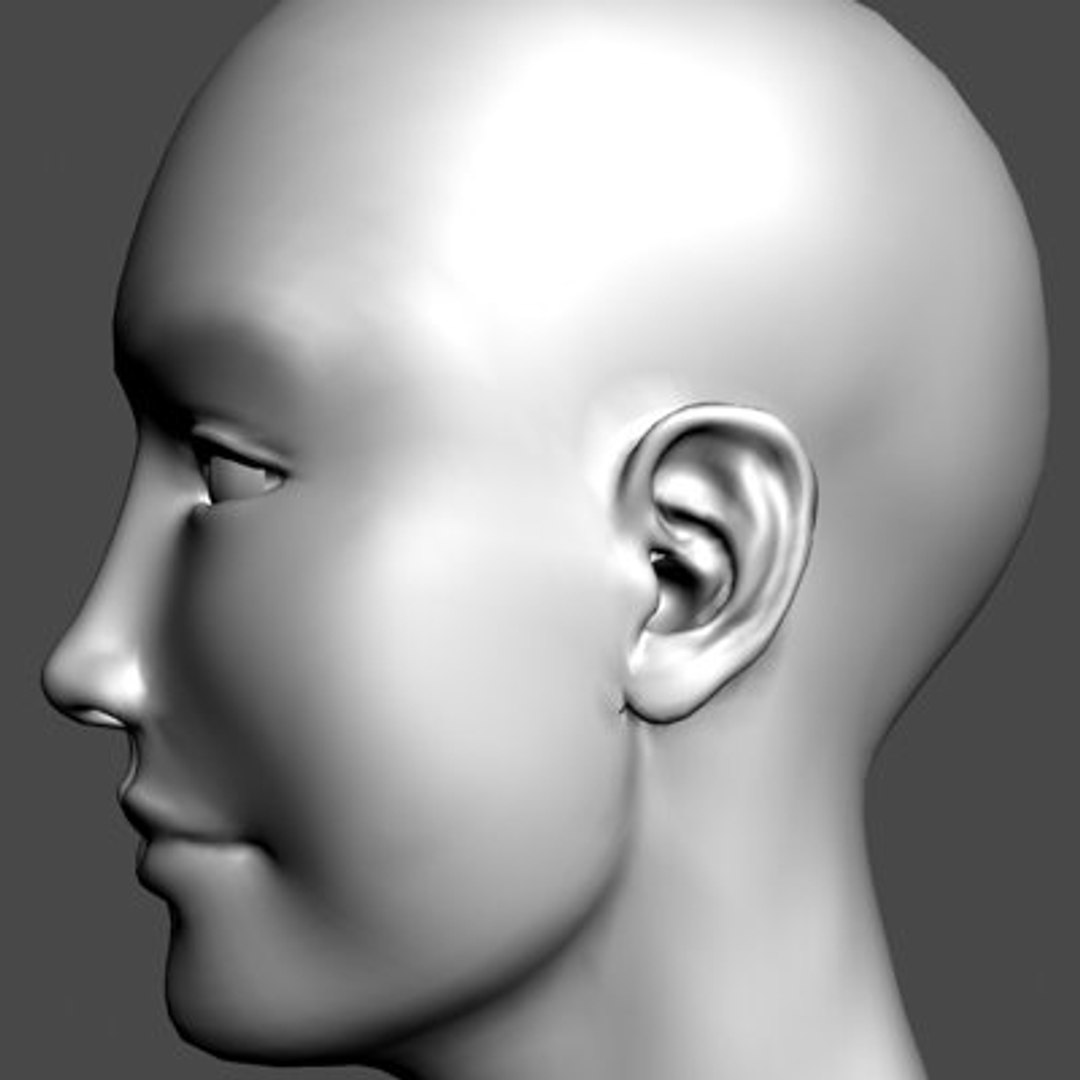 3d Head Model