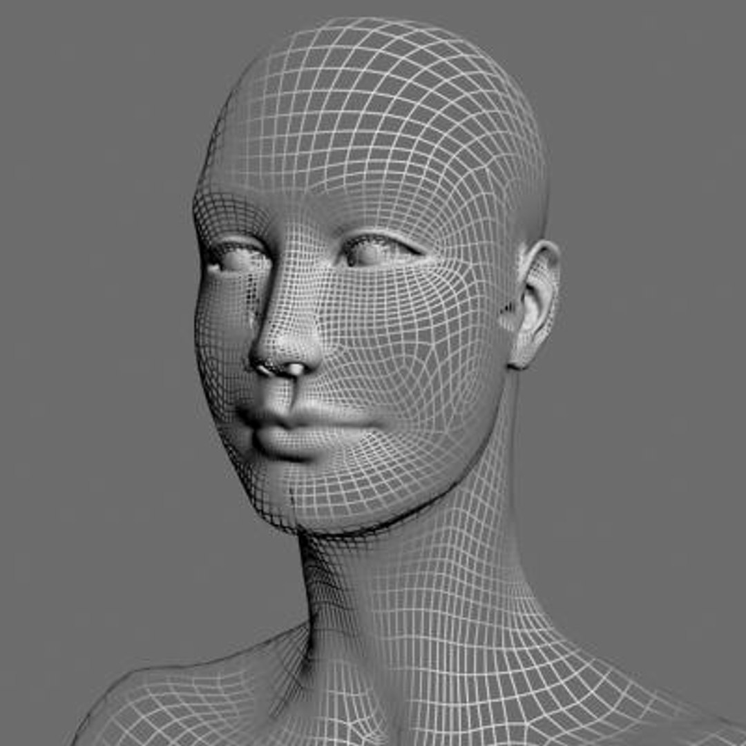 3d Head Model
