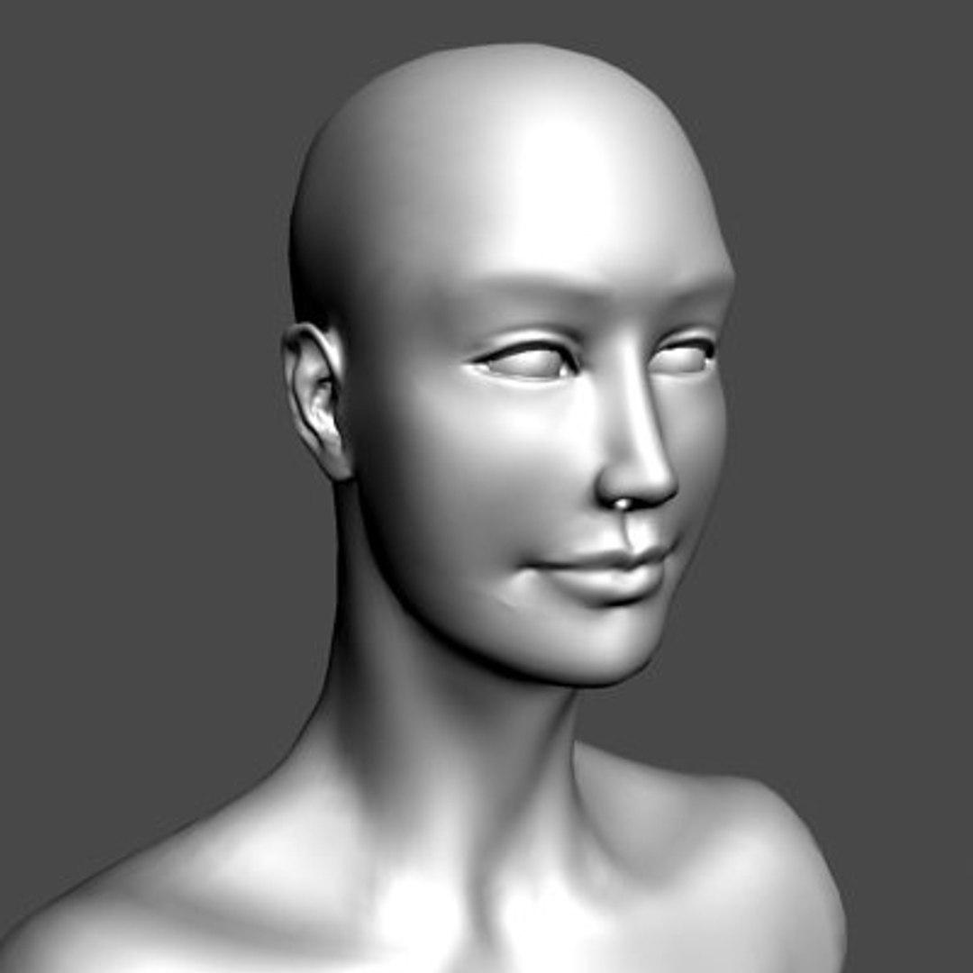 3d Head Model
