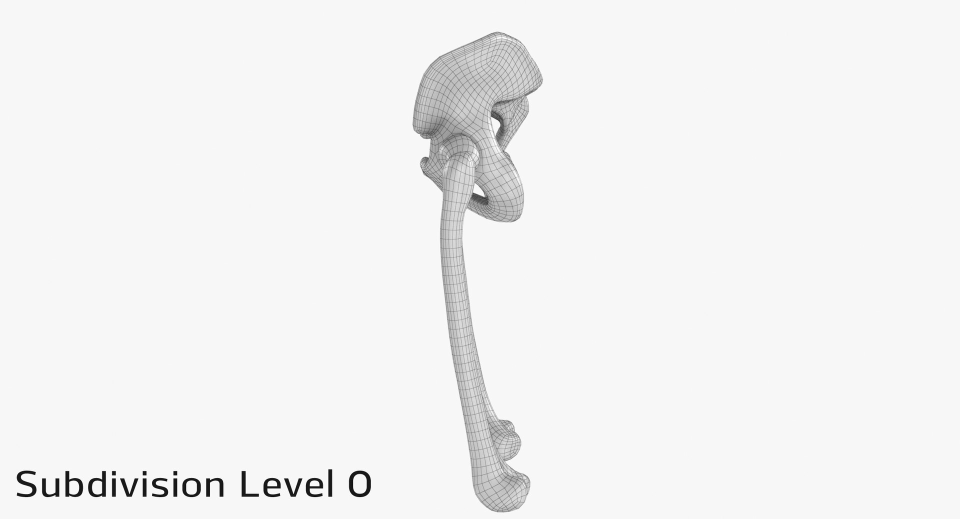 Pelvis Bones 3D Model - TurboSquid 1333372