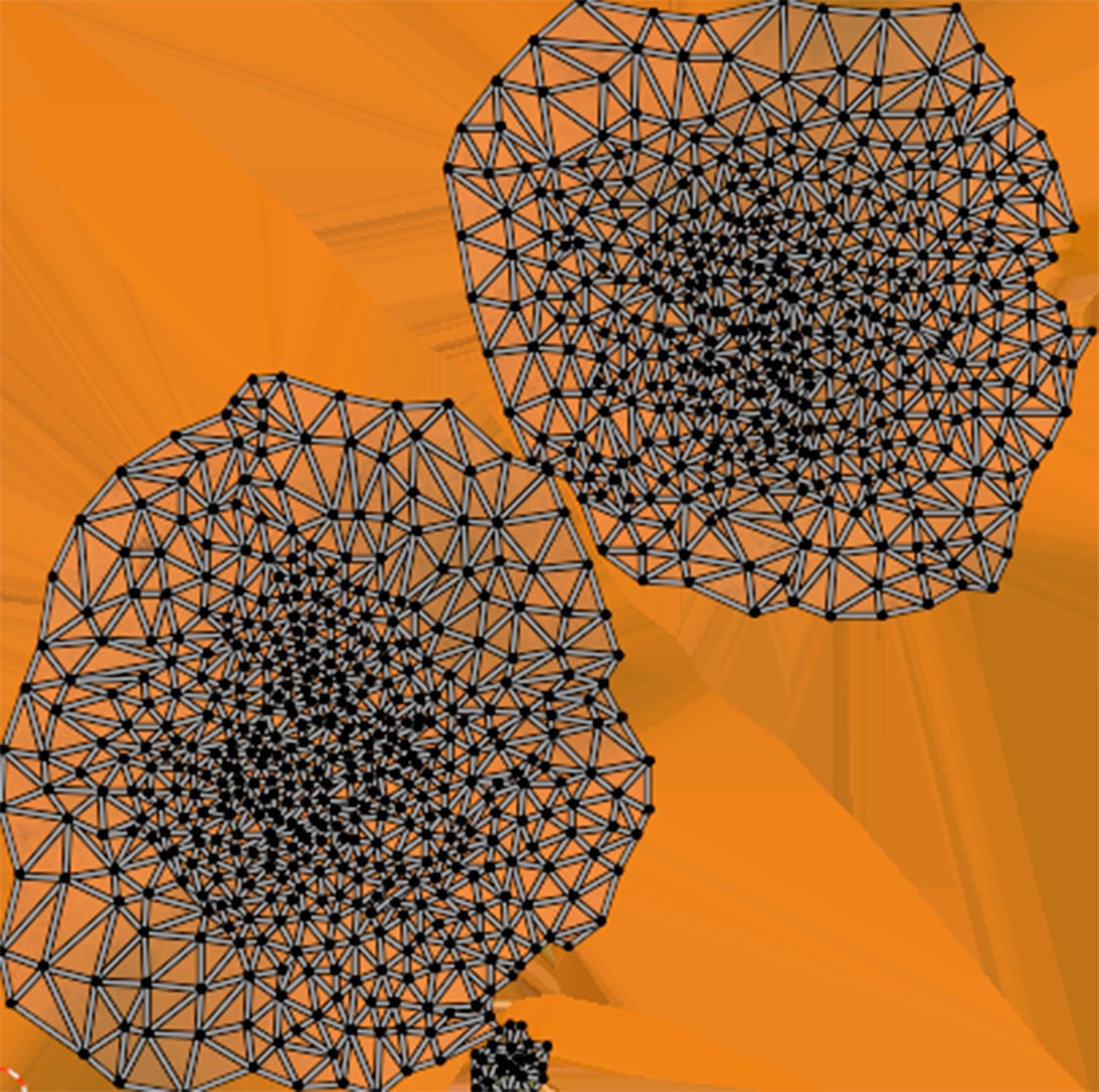 3D Mandarin Model - TurboSquid 2206930