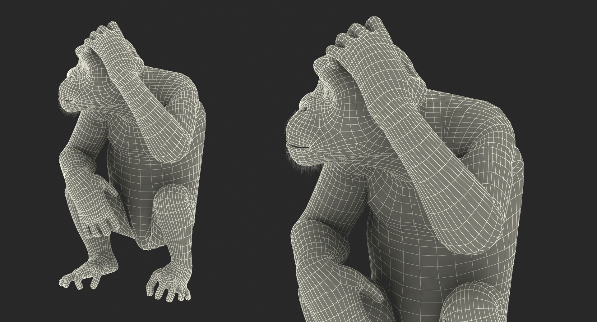 3D Light Chimpanzee Sitting Pose - TurboSquid 1438204