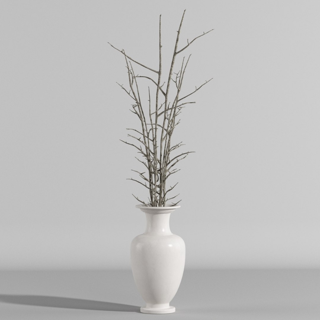 Realistic Vase Branches 3d 3ds