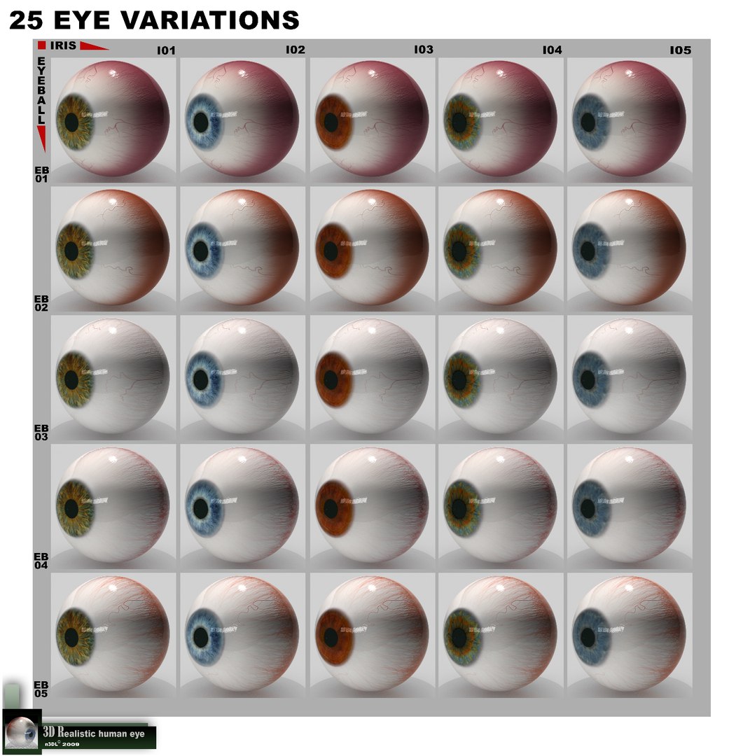 Realistic Human Eye 3d Model