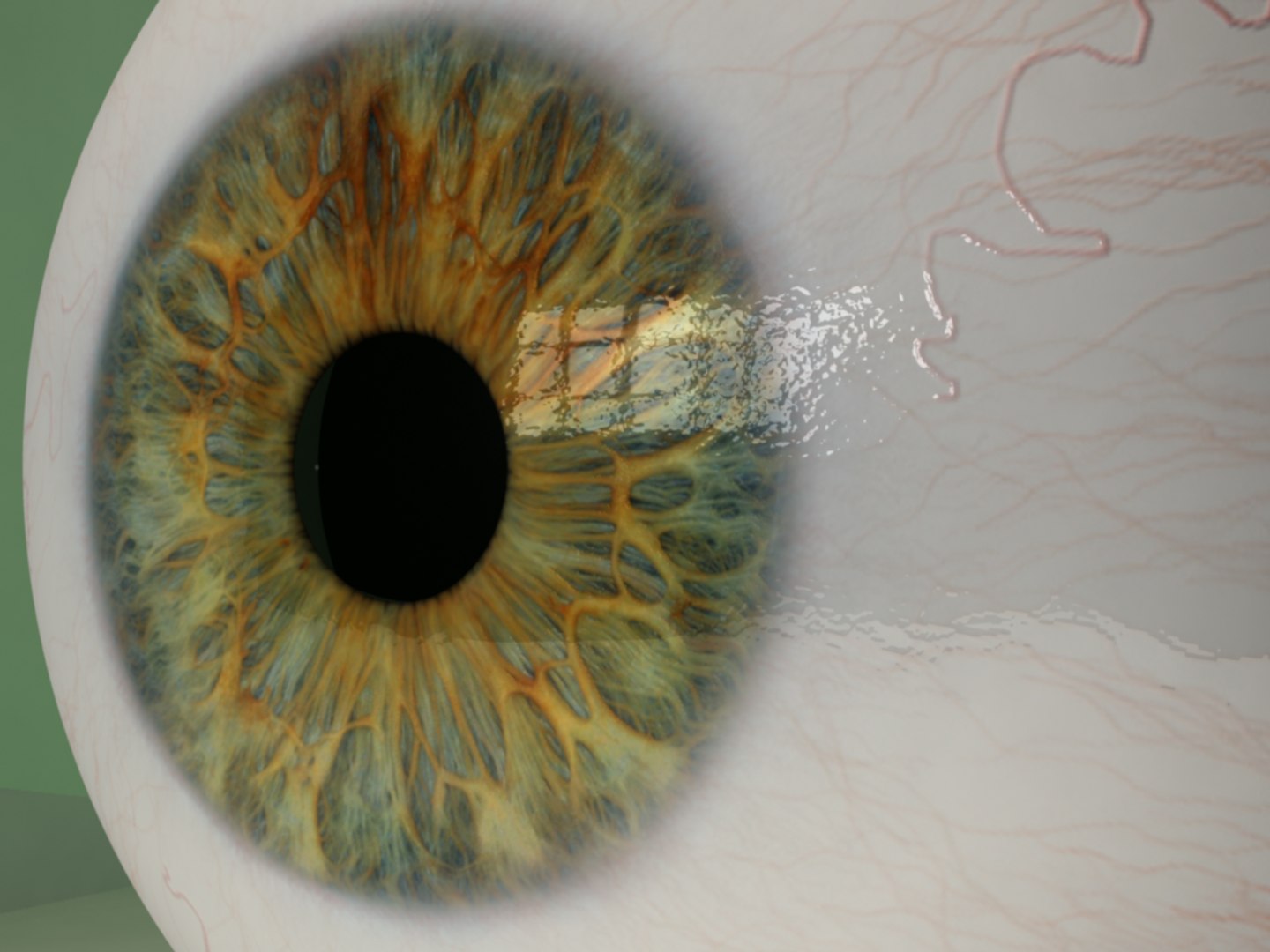 realistic human eye 3d model