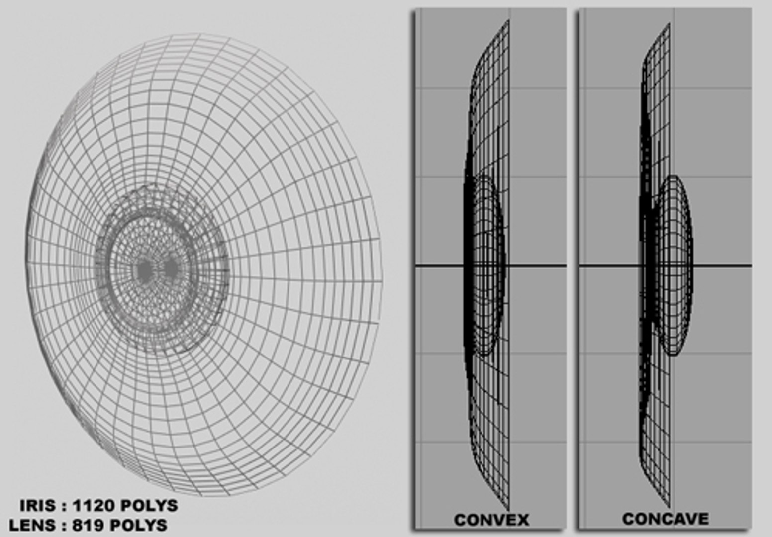 Realistic Human Eye 3d Model