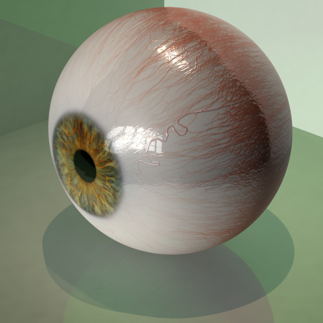 Realistic Human Eye 3d Model
