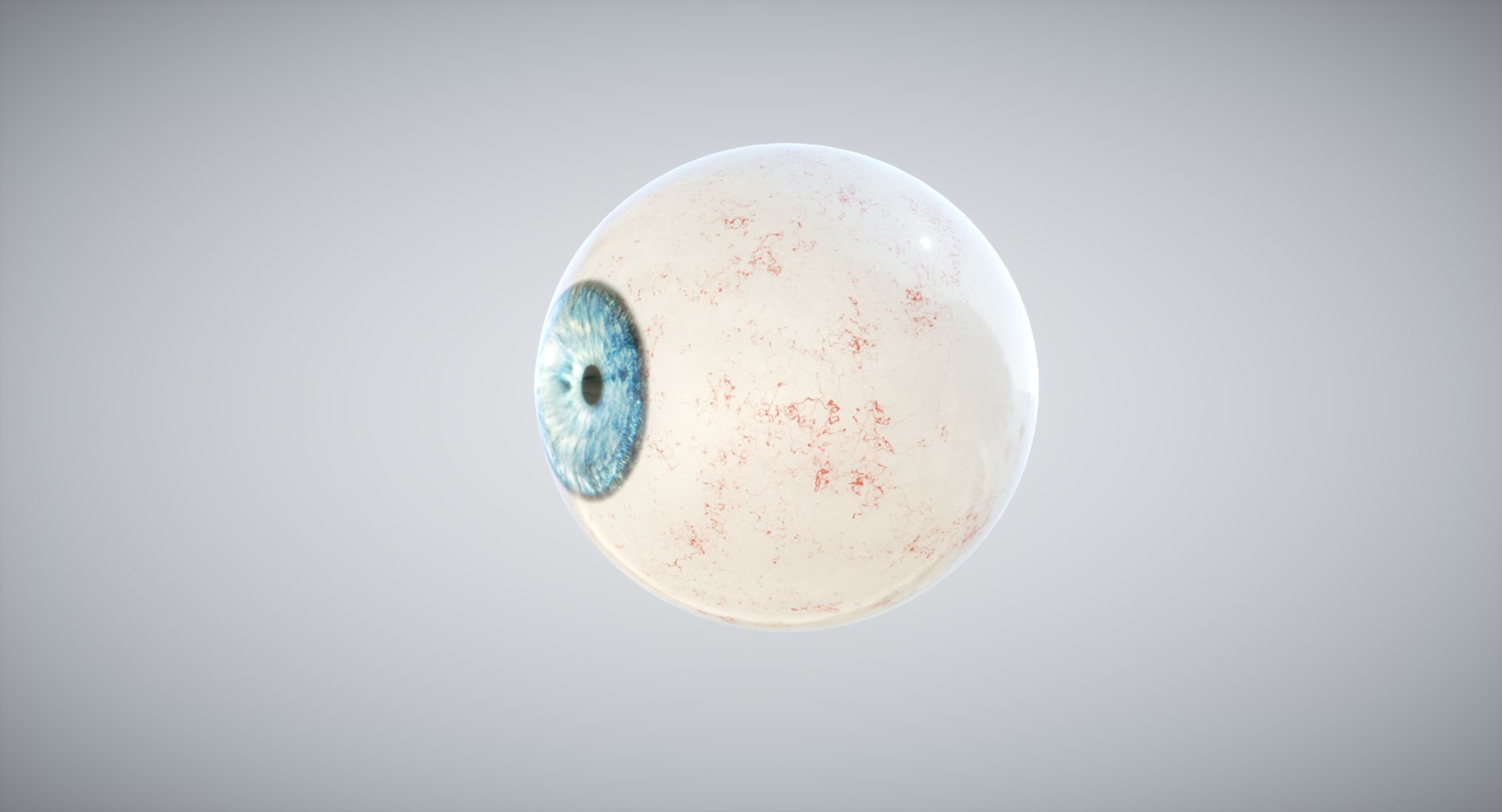 3D Model Octane Render - TurboSquid 1193750